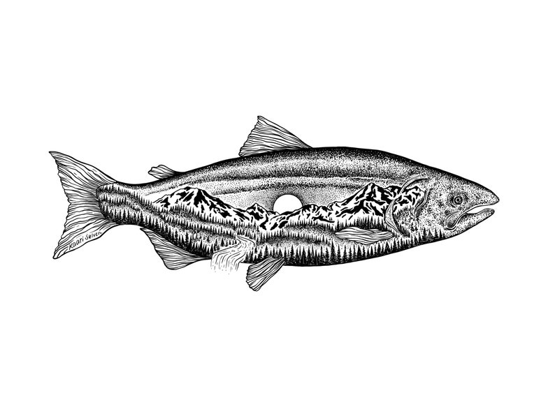 Salmon Art Print Fishing Gift Fisherman Print Salmon | Etsy