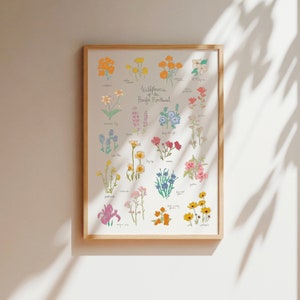 Wildflowers of the Pacific Northwest Art Print: Oregon Wall Art ...