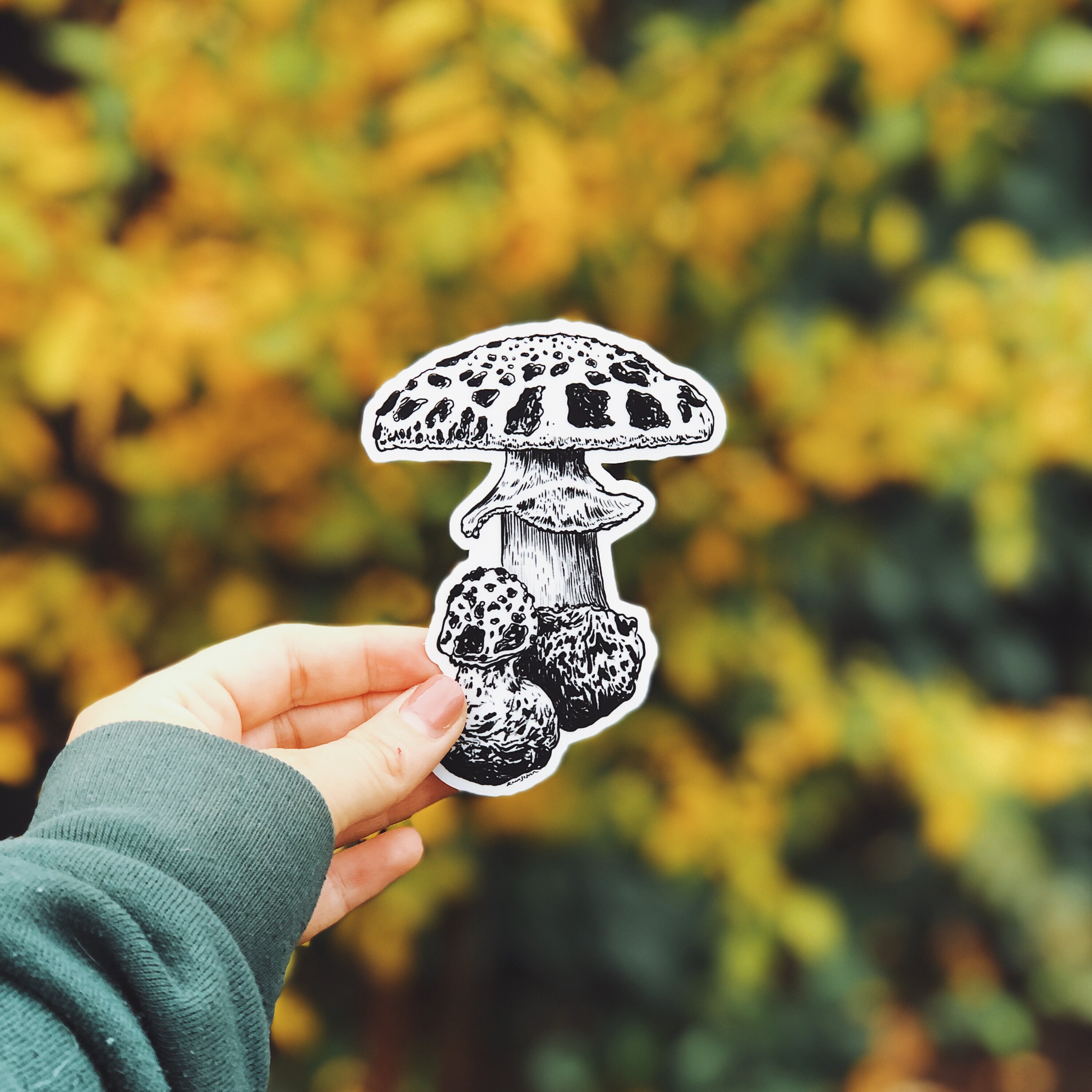 Mushroom I Vinyl Sticker - Etsy