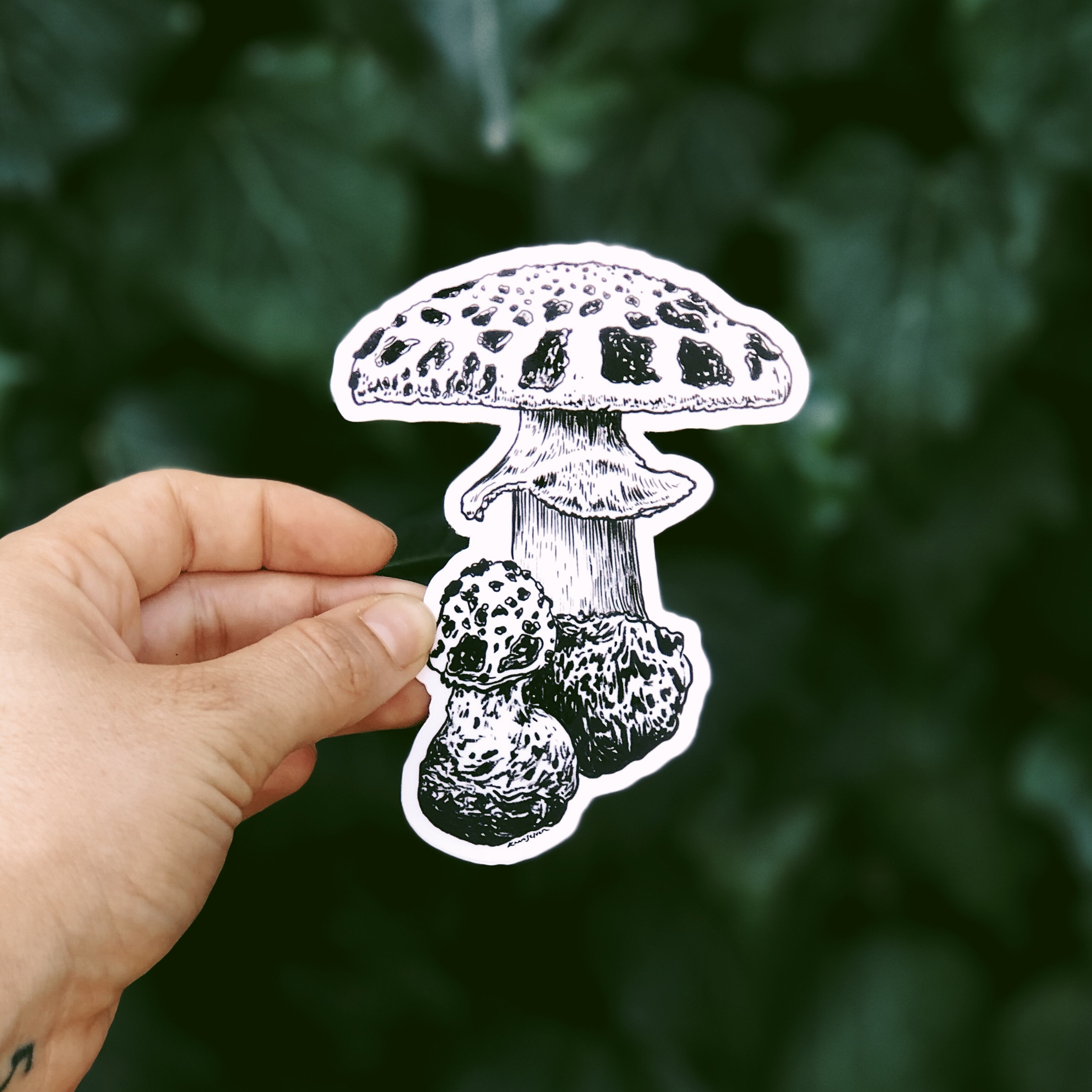 Mushroom Sticker Pack (set of 3 Waterproof Stickers) Original Fungi Art ...