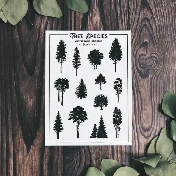 Waterproof Stickers - Etsy