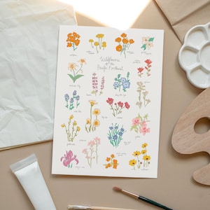 Wildflowers of the Pacific Northwest Art Print: Oregon Wall Art ...