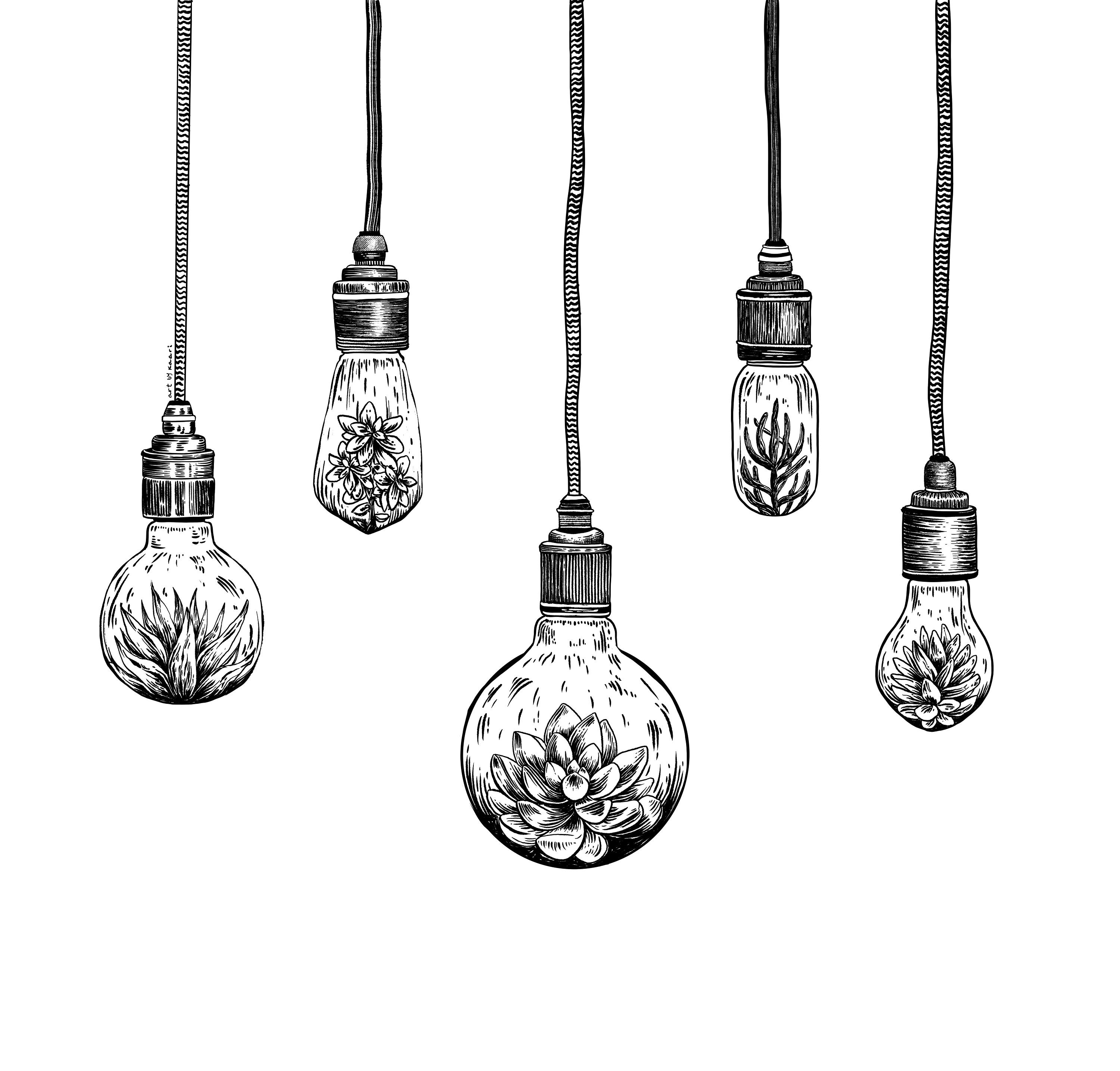 Hanging Succulent Light Bulbs Art Print - Etsy