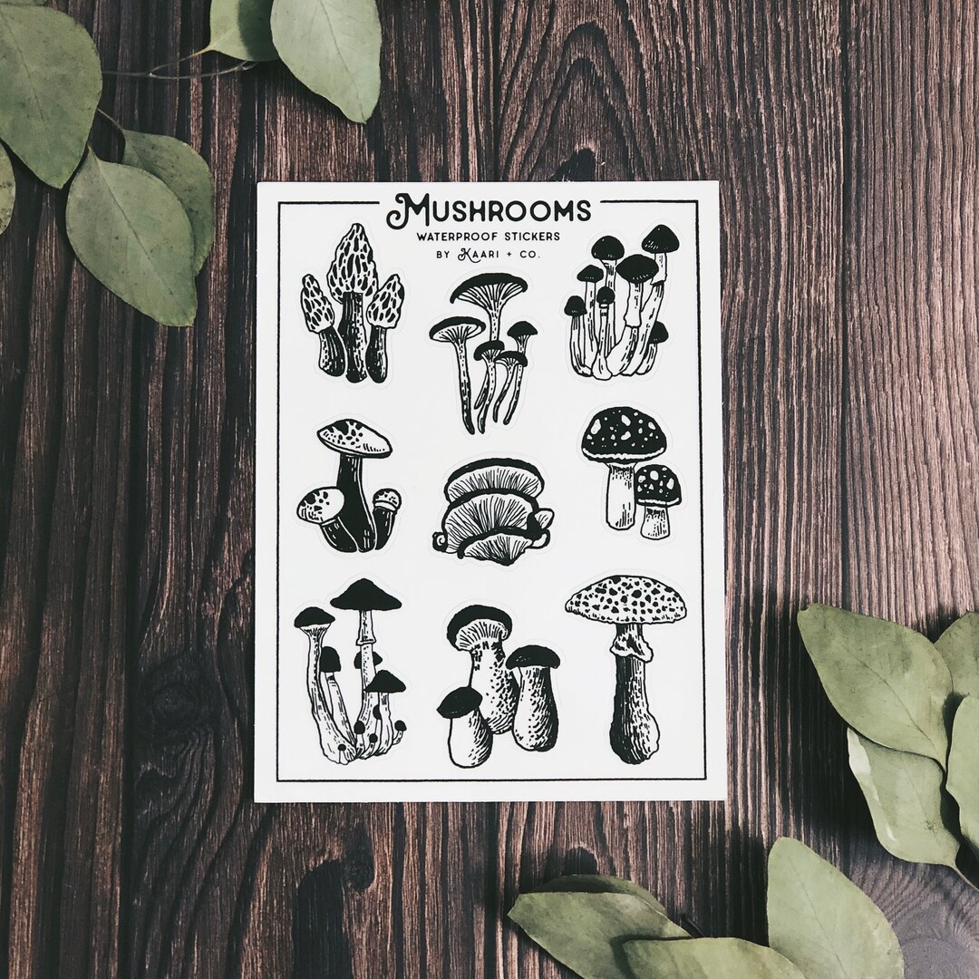 Mushrooms Sticker Sheet - Set of 9 Die-cut Waterproof Stickers - Etsy