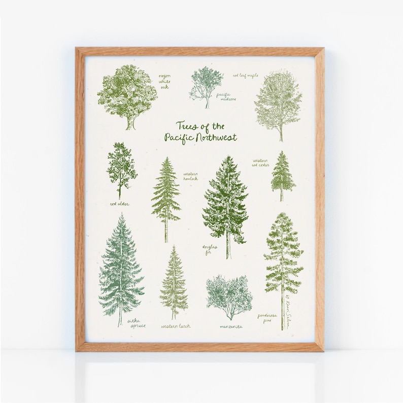 Trees of the Pacific Northwest Art Print: PNW Native Species ...