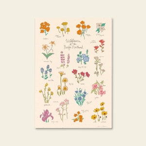 Wildflowers of the Pacific Northwest Art Print: Oregon Wall Art ...