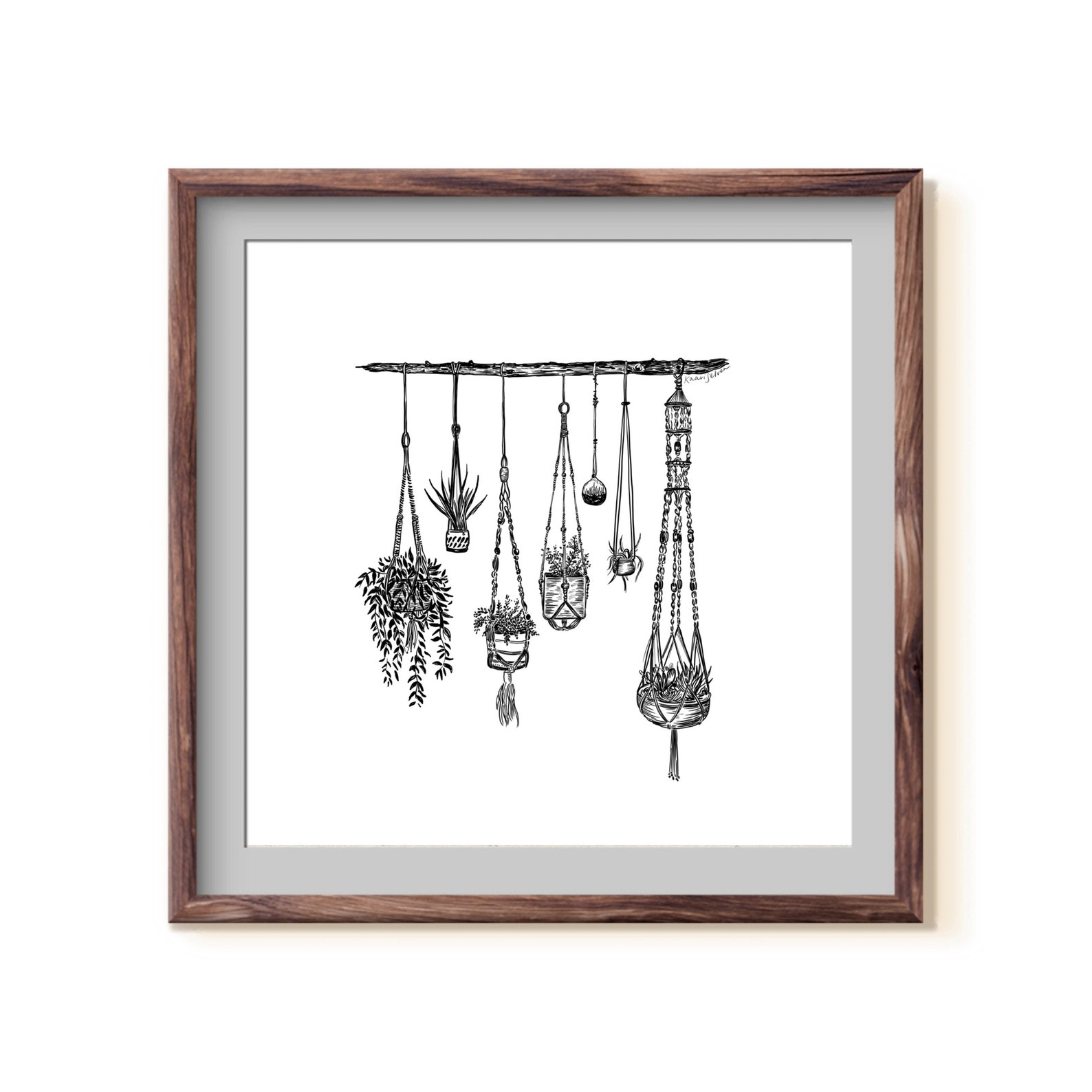 Hanging Plants Art Print Botanical Wall Art Drawing Plant Lady - Etsy