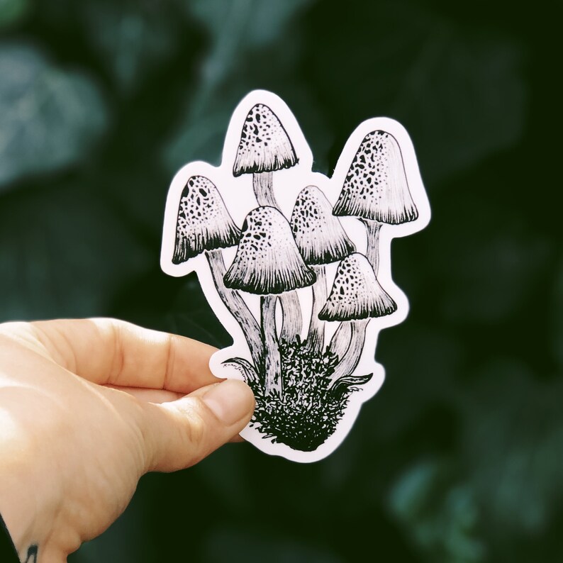 Mushroom Sticker Pack set of 3 Waterproof Stickers Original - Etsy