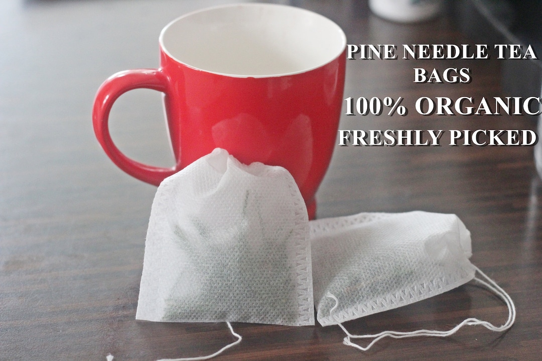 Pine Needle Tea BAGS Packs of 5 10 15 2030405060 100 - Etsy