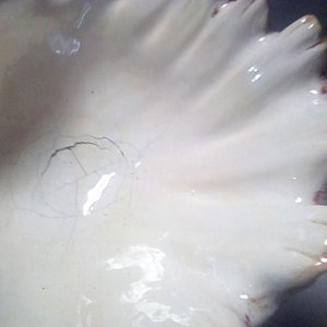 Majolica Monkeys and Seashell Art Pottery - Etsy