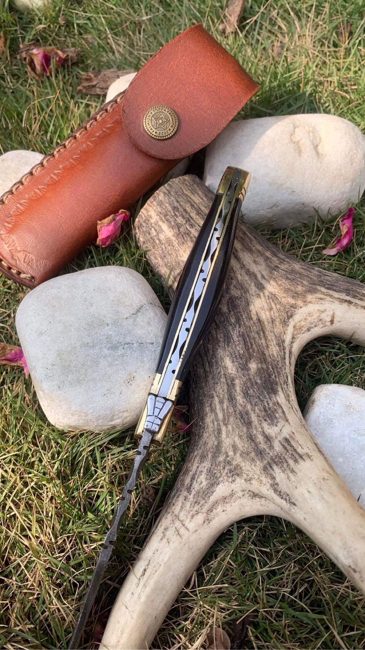 Black Chile Blade Brand New & Hand Forged - Etsy