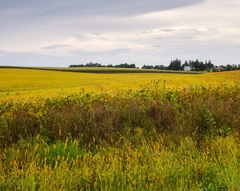 Iowa landscape | Etsy