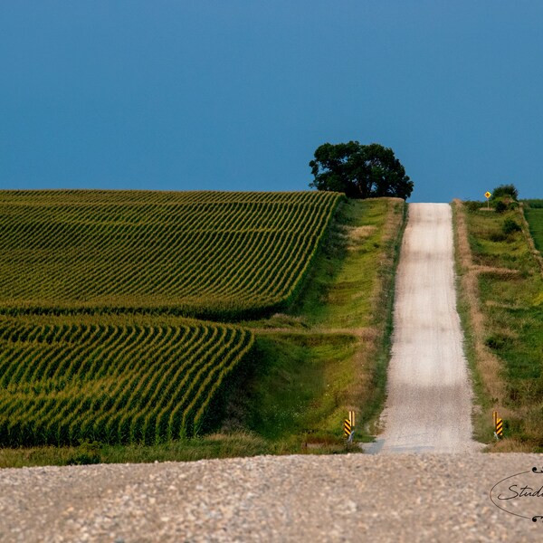 Iowa Photography - Etsy