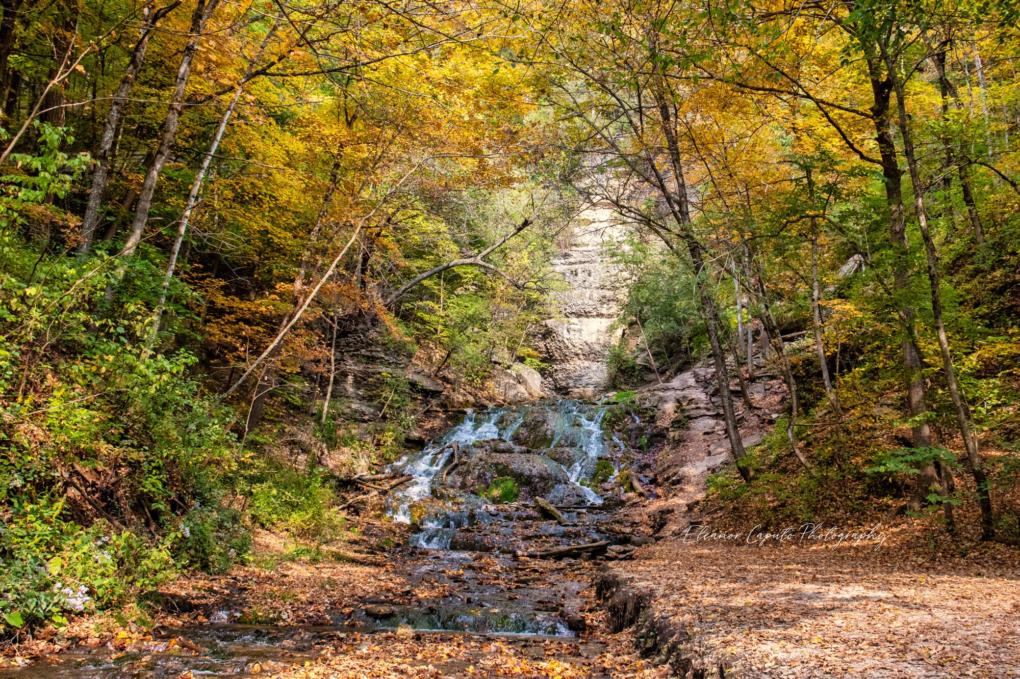 Dunnings Springs Falls III Decorah Iowa Photography by | Etsy