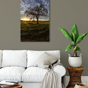 Vertical Photography Oak Tree at Sunset Sierra Foothills - Etsy