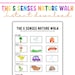 The Five Senses Nature Walk | the Five Senses | All About Me - Etsy