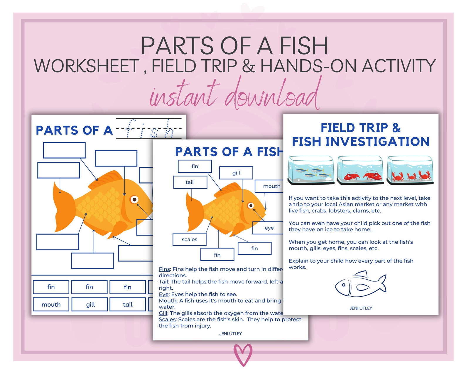 Ocean Learning Activity Bundle Ocean Sea Creatures | Etsy