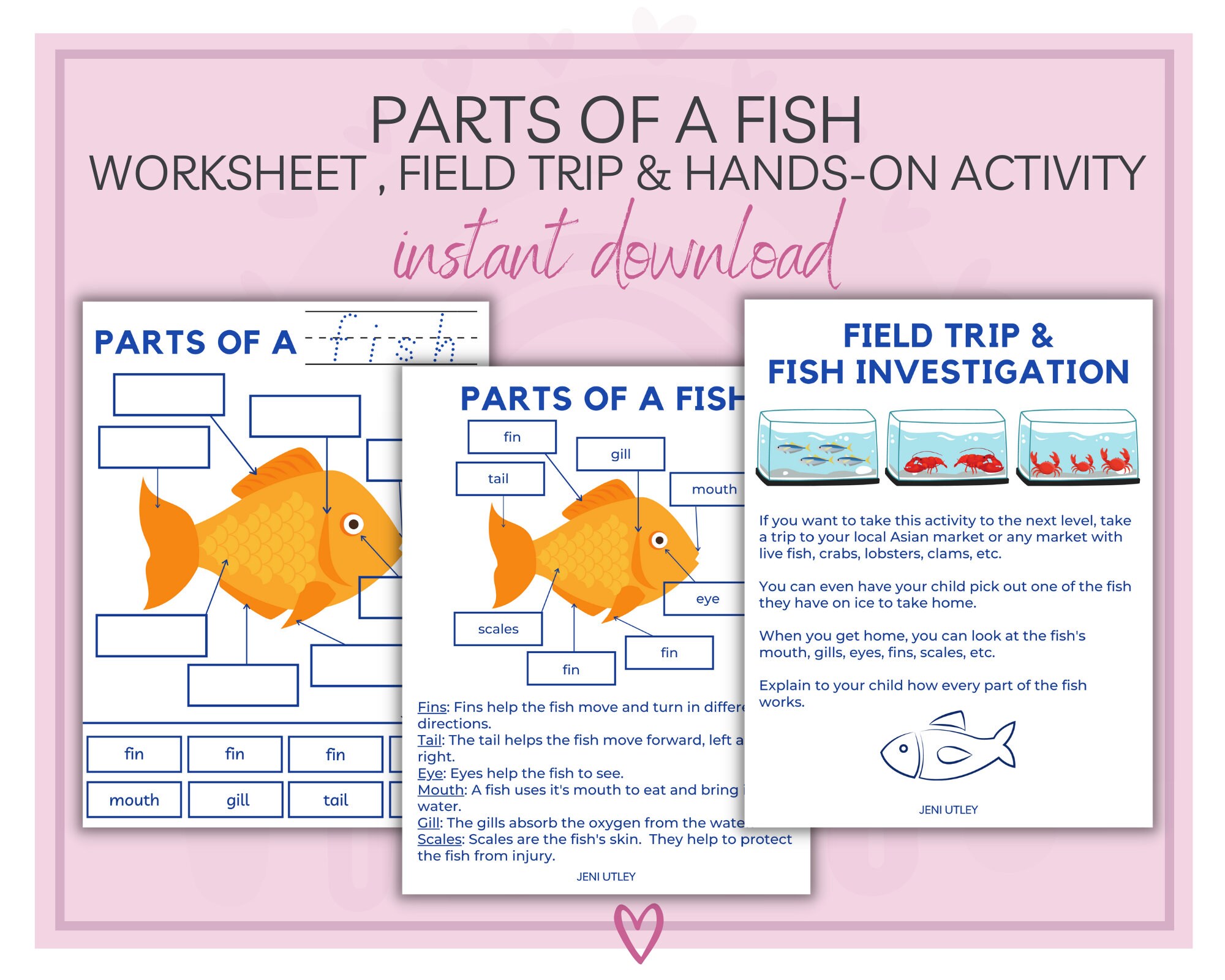 Ocean Learning Activity Bundle Ocean Sea Creatures | Etsy