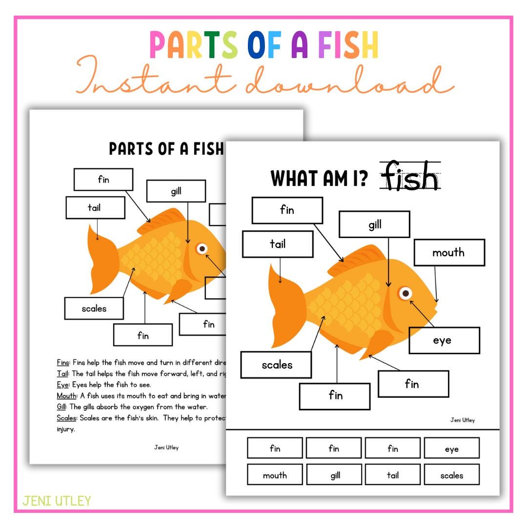 Parts Of A Fish Eyfs