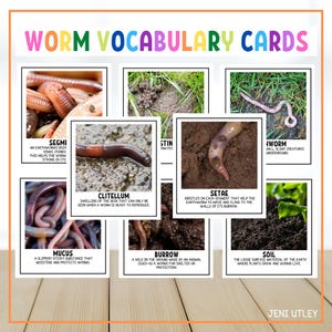 Worm Unit Study for Preschool | Spring Science Activities | Homeschool ...