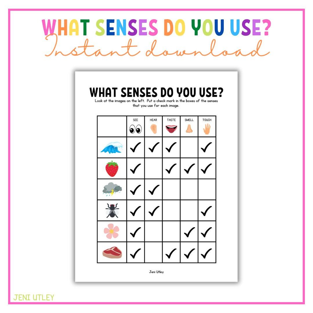 What Senses Do You Use | the Five Senses | All About Me - Etsy