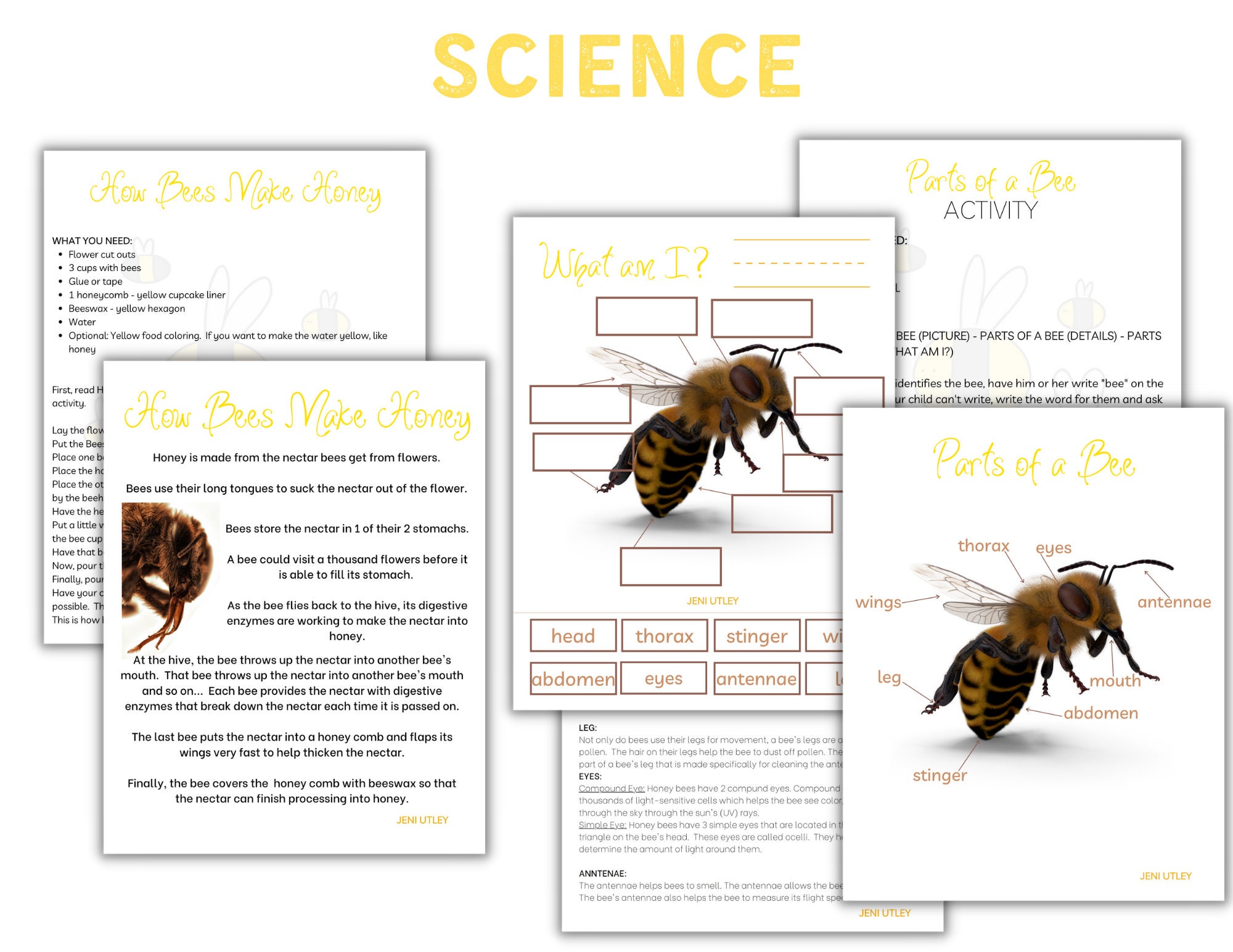 Bee Learning Activities for Kids Bees Workbook Fun - Etsy