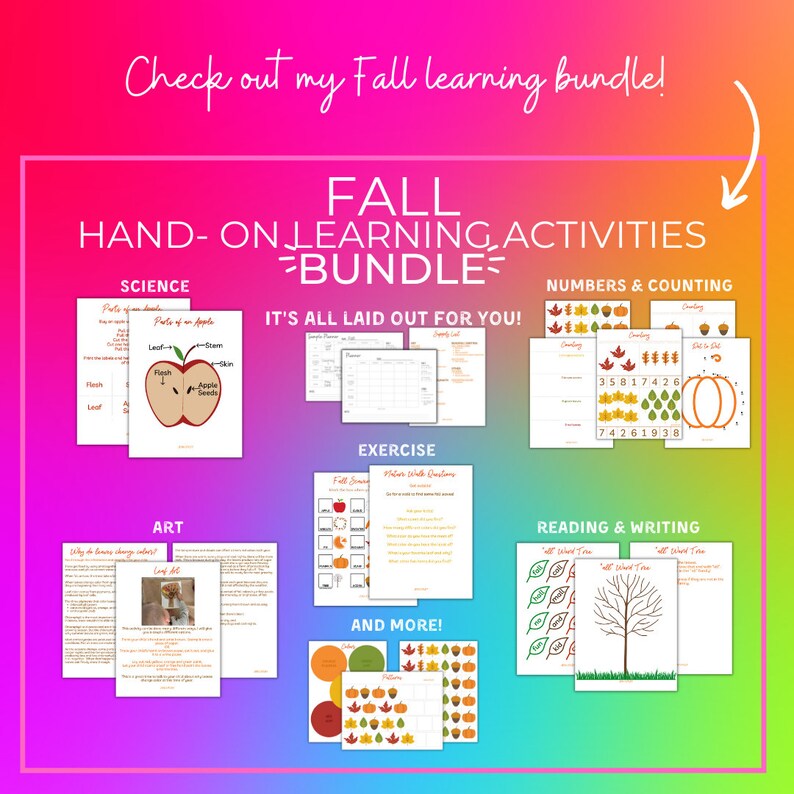 Fall Word Family Fall Learning Activities Unit Study - Etsy