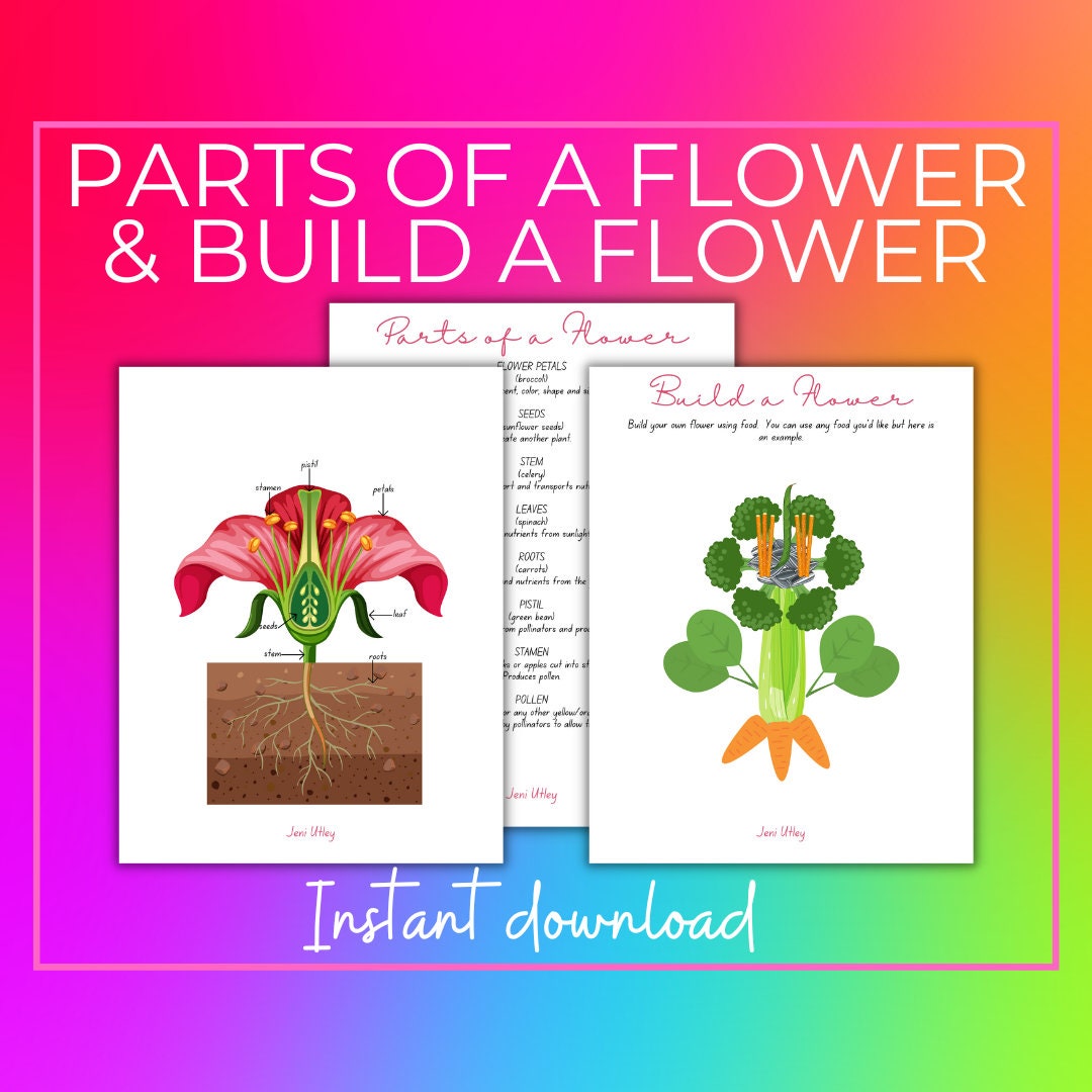 Parts of a Flower | Build a Flower | Preschool Flower Unit Study ...