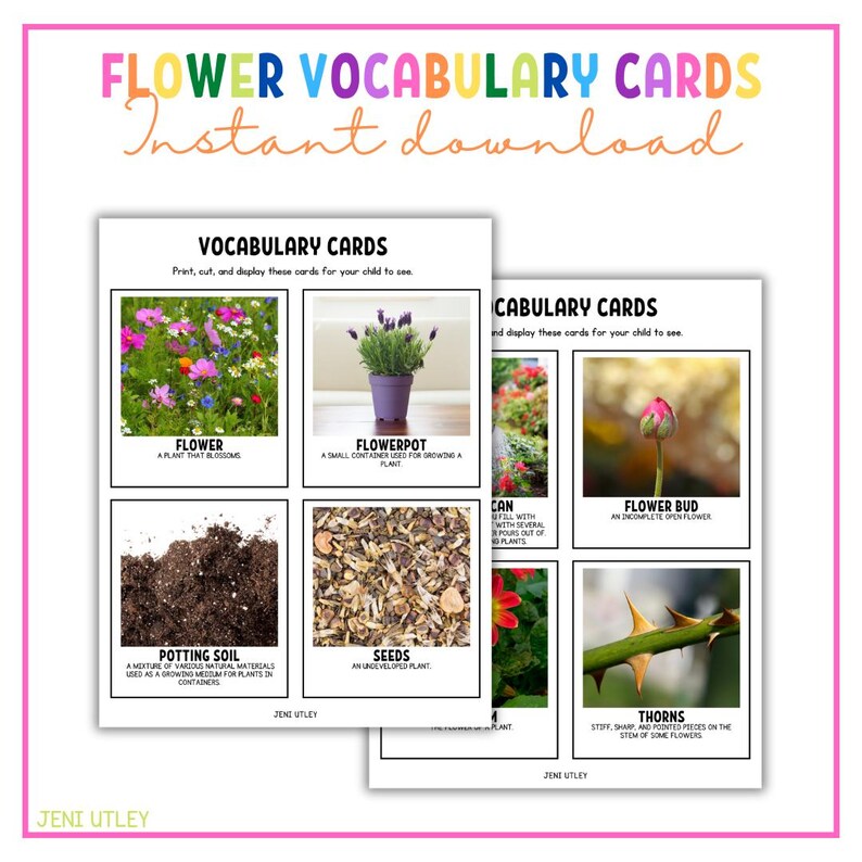 Flower Vocabulary Cards | Preschool Unit Study - Etsy