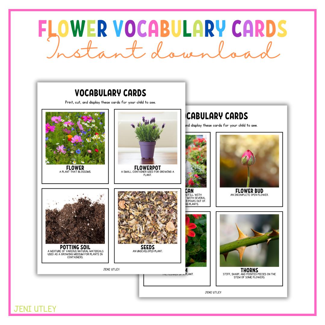 Flower Vocabulary Cards | Preschool Unit Study - Etsy