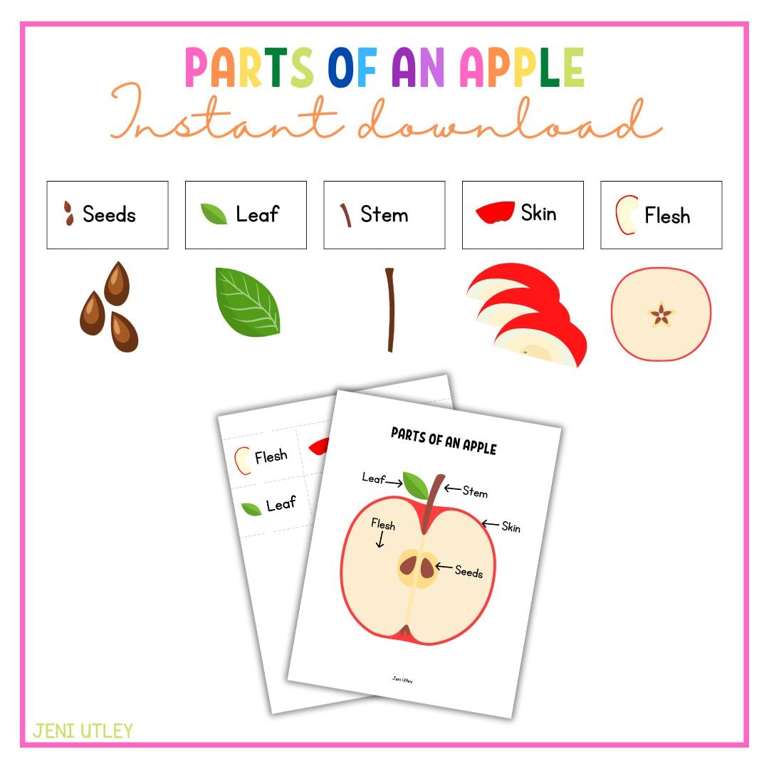 Parts of an Apple | Preschool Science Worksheet - Etsy