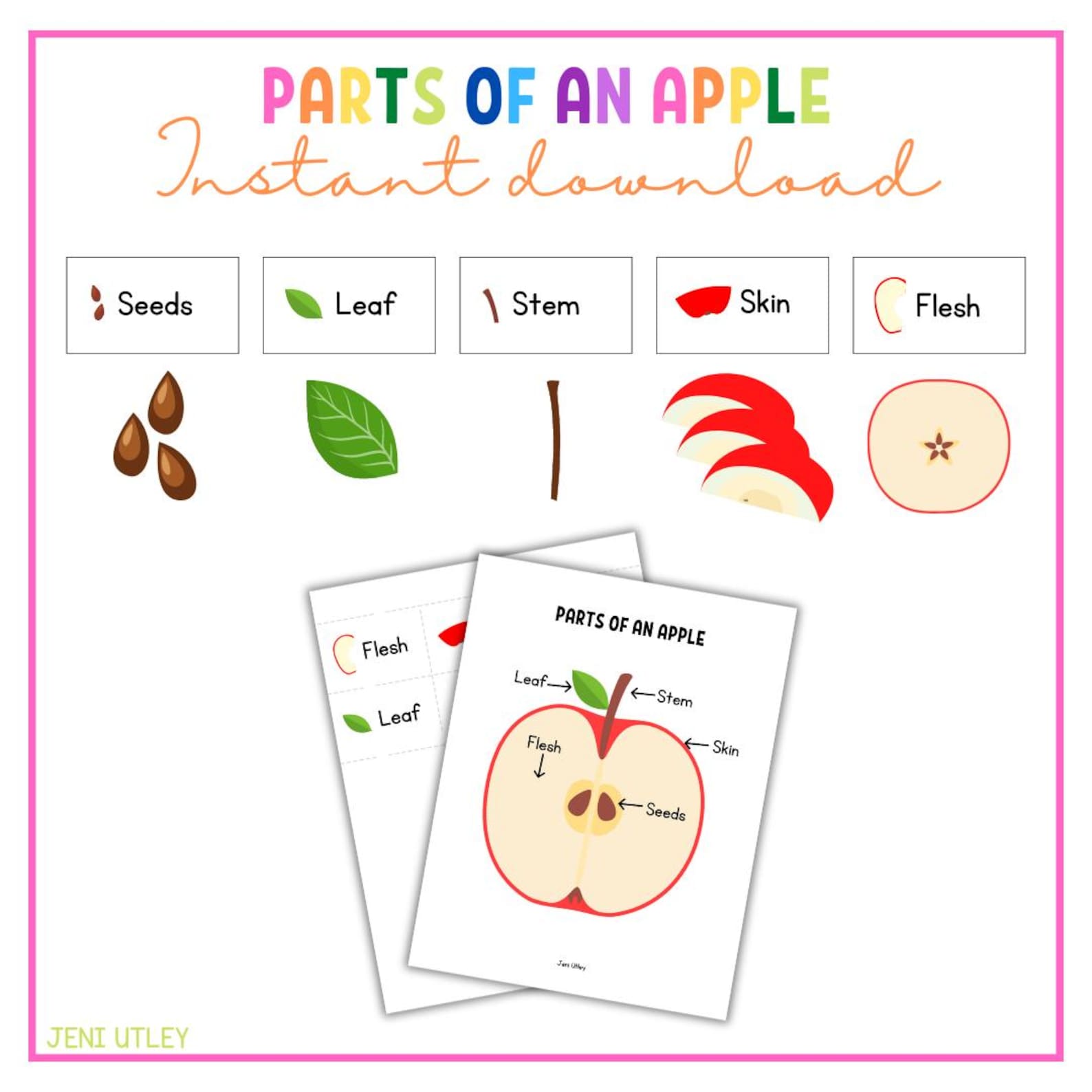 Parts of an Apple | Preschool Science Worksheet - Etsy
