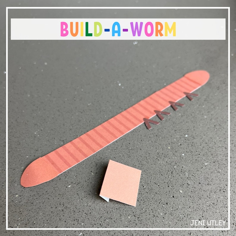 Build-a-worm Science Activity for Preschoolers - Etsy
