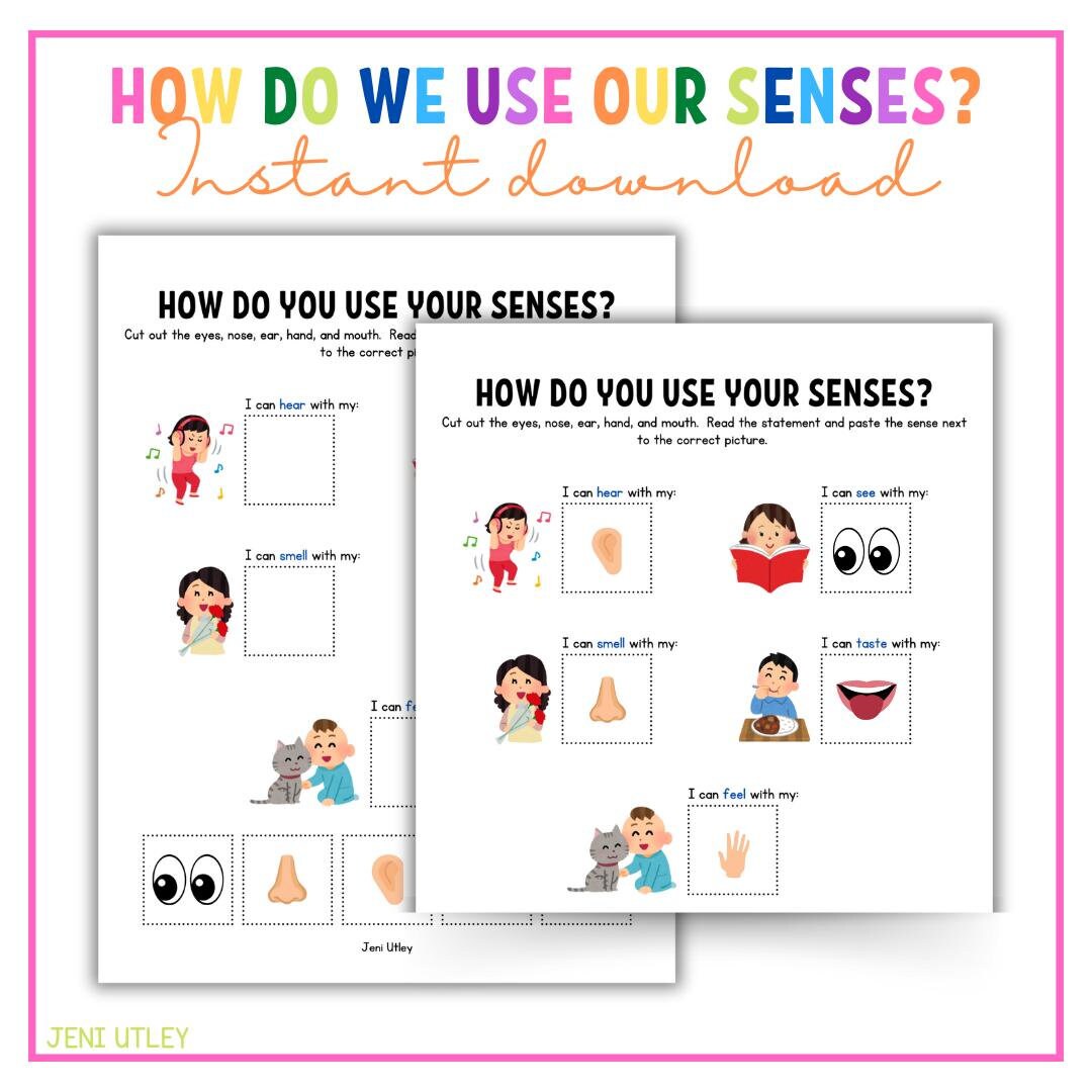 How Do We Use Our Senses | the Five Senses | All About Me - Etsy