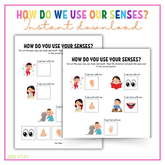 How We See Things Worksheet