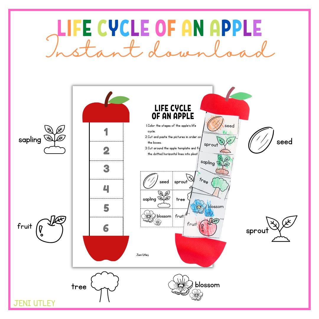 Life Cycle of an Apple - Preschool Activity - Preschool Unit Study - Etsy
