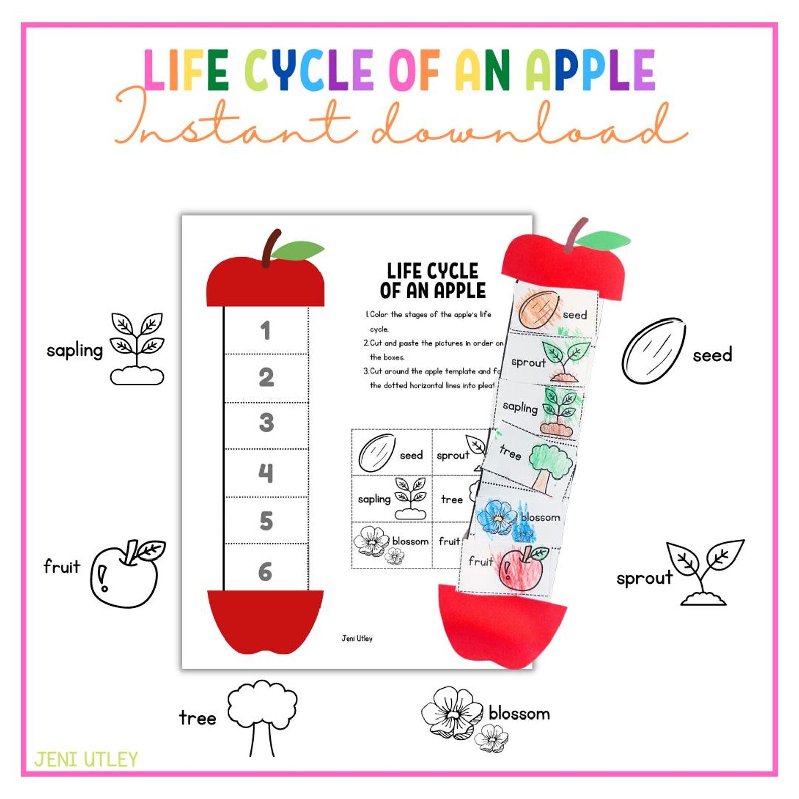 Life Cycle of an Apple - Preschool Activity - Preschool Unit Study - Etsy