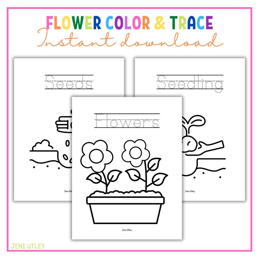 Flower Life Cycle Trace and Color Preschool Coloring Activity - Etsy