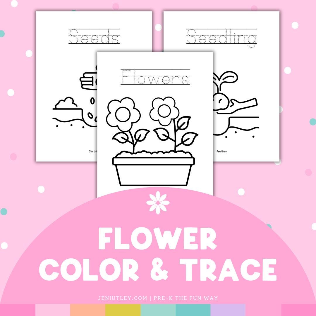 Flower Life Cycle Trace and Color | Preschool Coloring Activity - Etsy