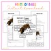 Bee Anatomy Worksheet | Label a Bee Printable (digital Download) - Etsy