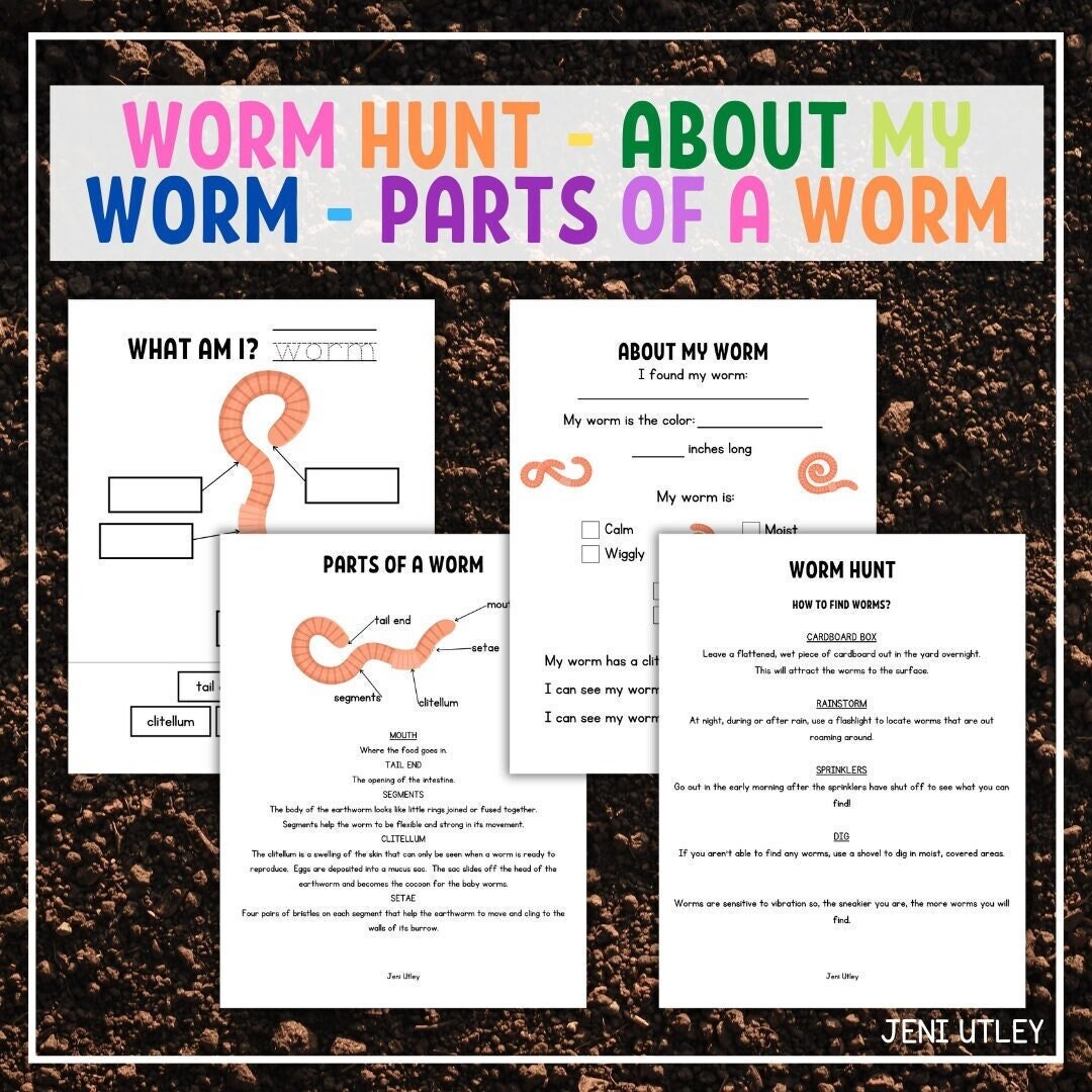 Worm Hunt - About My Worm - Parts of a Worm | Preschool Science ...