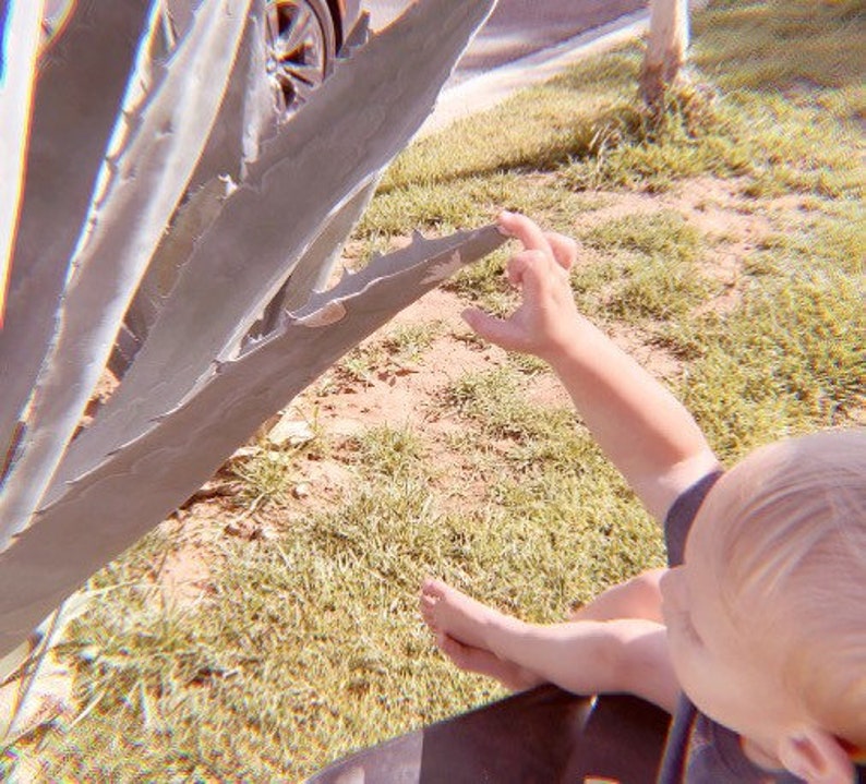 The Five Senses Nature Walk Scavenger Hunt - Get Outside and Learn! - Etsy