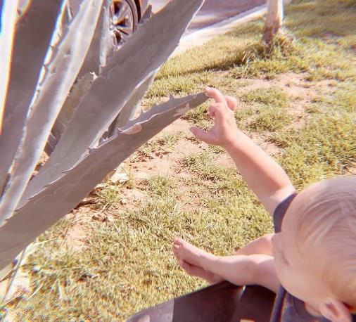 The Five Senses Nature Walk Scavenger Hunt - Get Outside and Learn! - Etsy