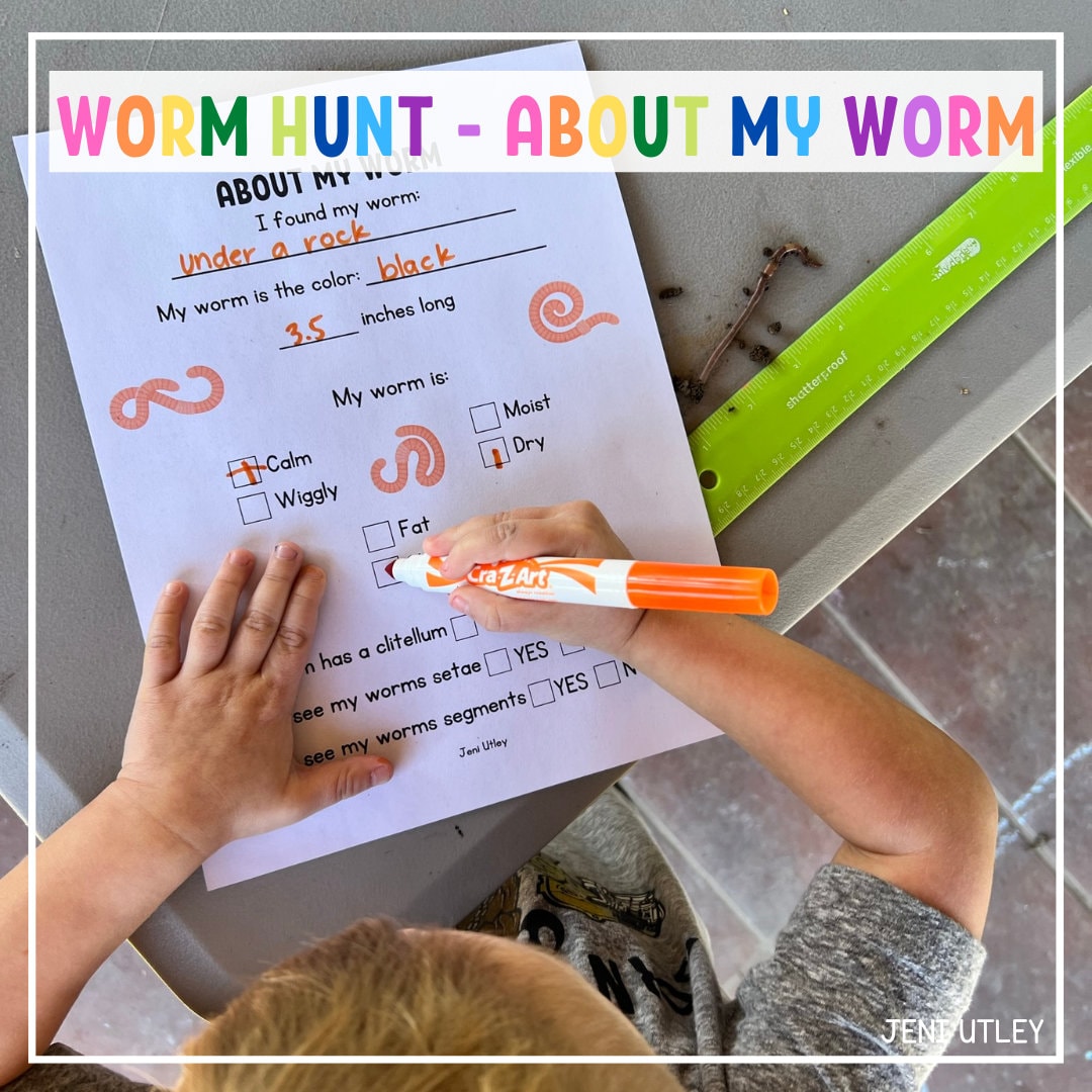 Worm Hunt - About My Worm - Parts of a Worm | Preschool Science ...