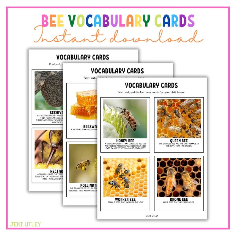 Bee Vocabulary Cards - Etsy