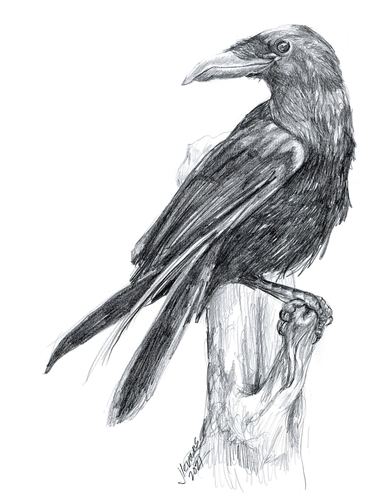 Smiling Raven - Etsy