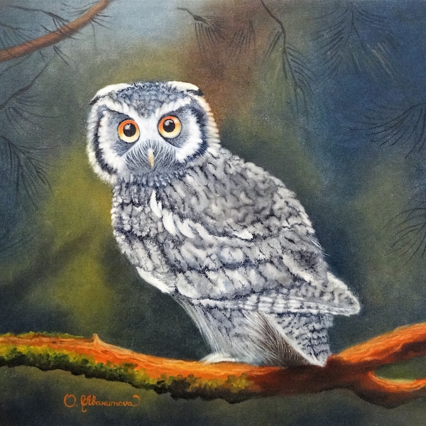 Hedwig Painting - Etsy