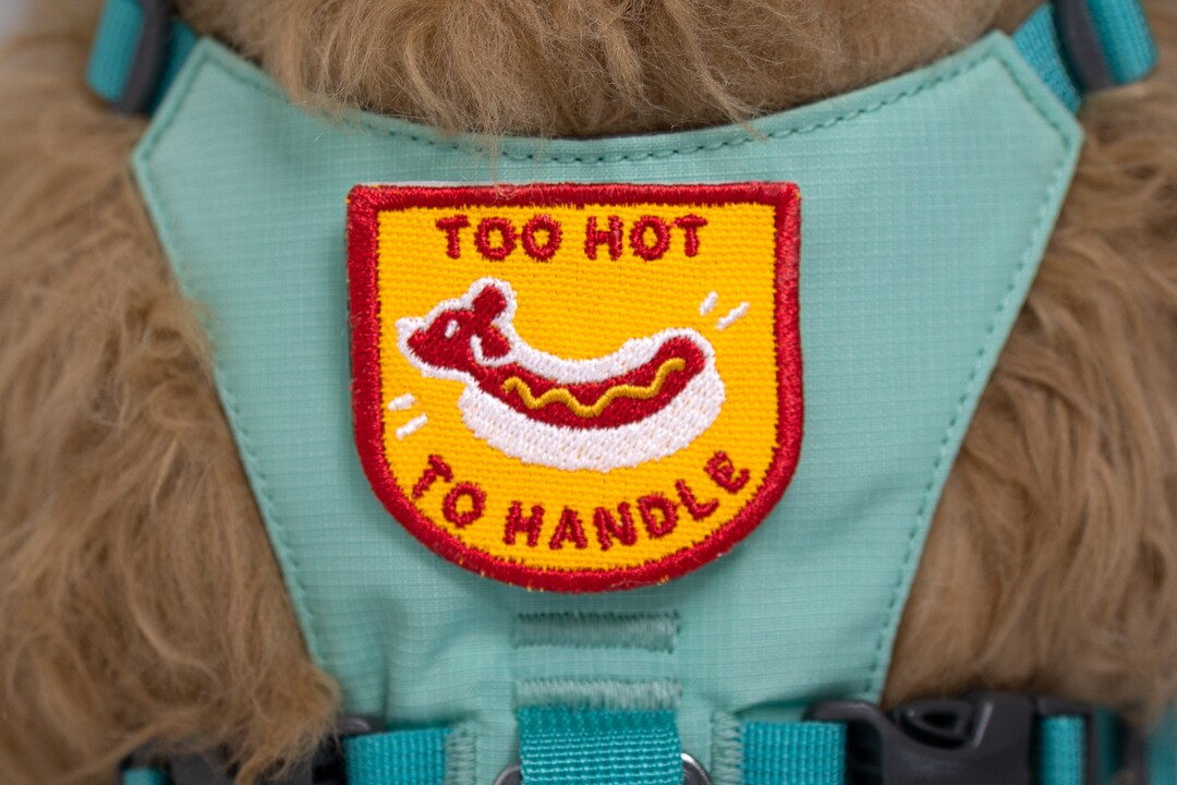 Embroidered Dog Patch | Too Hot to Handle Dachshund | Wiener Dog | Hot ...