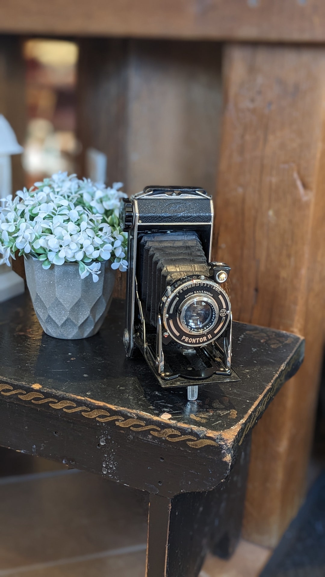 Vintage 1930's Prontor II Folding Camera, Photograph, Black and White ...
