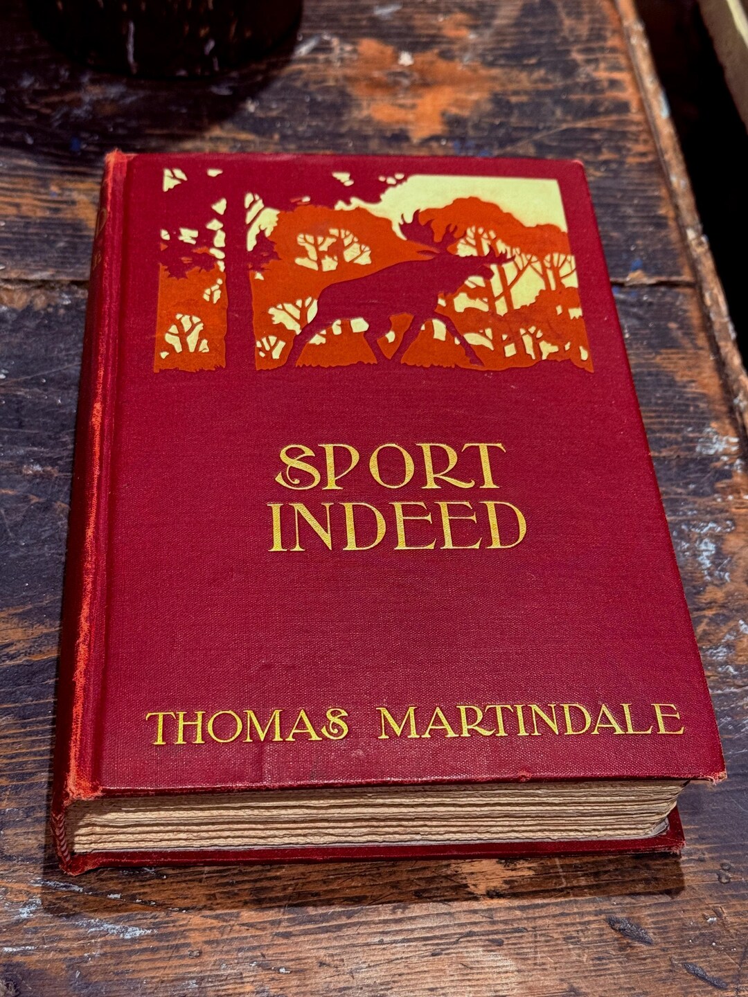 Antique First Edition “sport Indeed” by Thomas Martindale C.1901 - Etsy